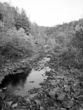 Emory River System: Beauty and Biodiversity in Peril?