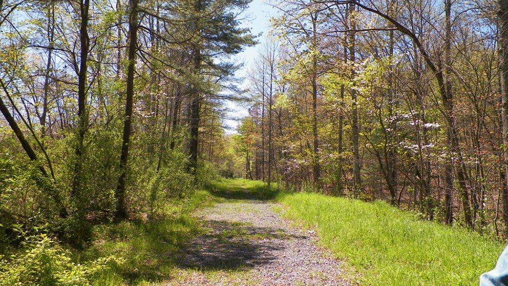 Trailbuilding: Forging New Paths