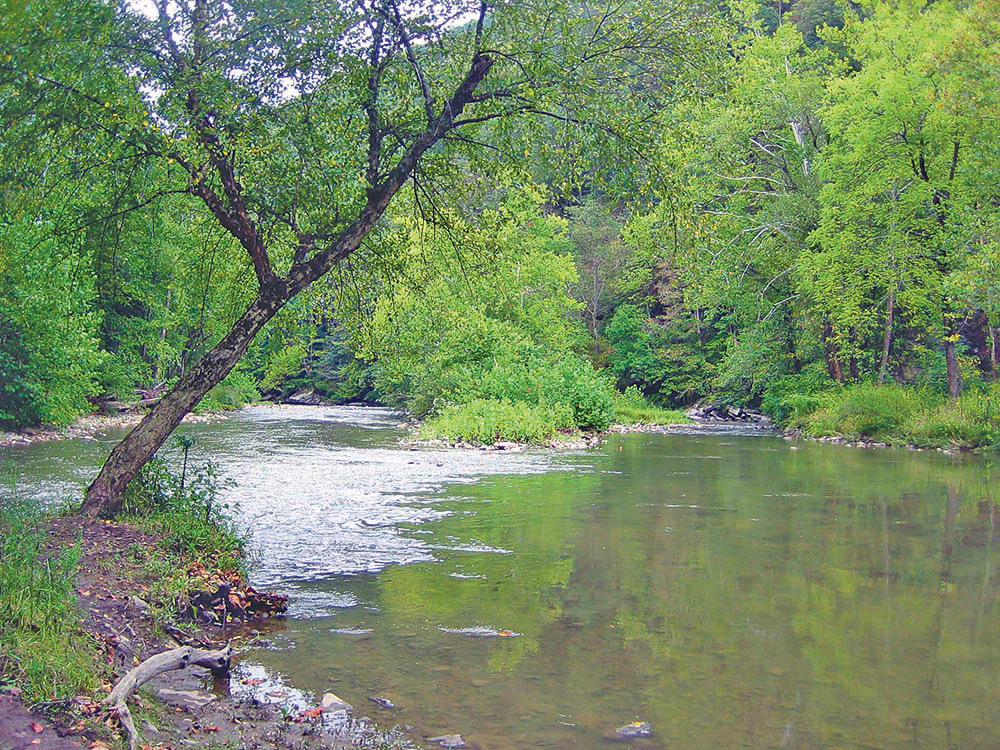 The Bluestone Turnpike Trail